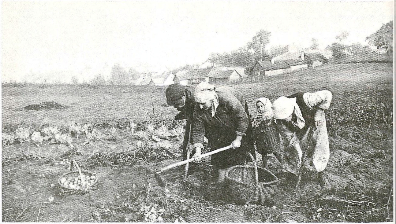 Conhecer a História: Do fim do czarismo ao Estalinismo