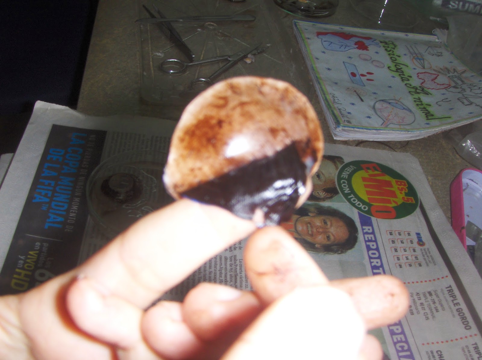 Fisiologia Animal (Nuevos conocimientos por explorar): Practica de ...