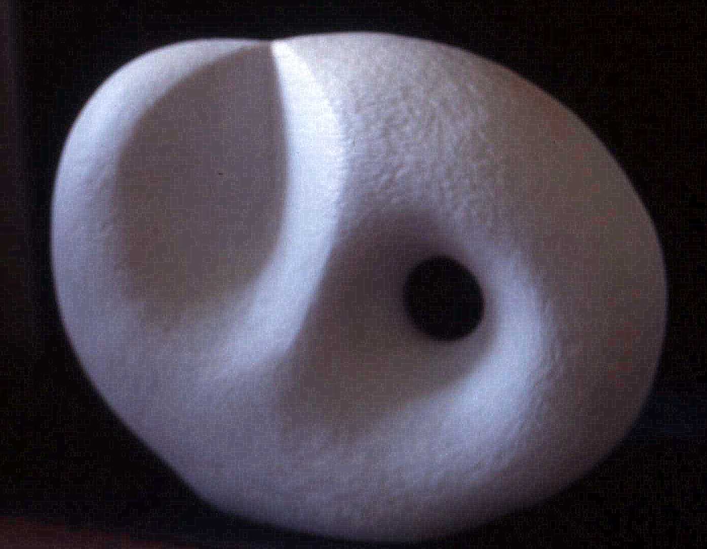 The Mathematical Tourist: Torus with Cross-Cap