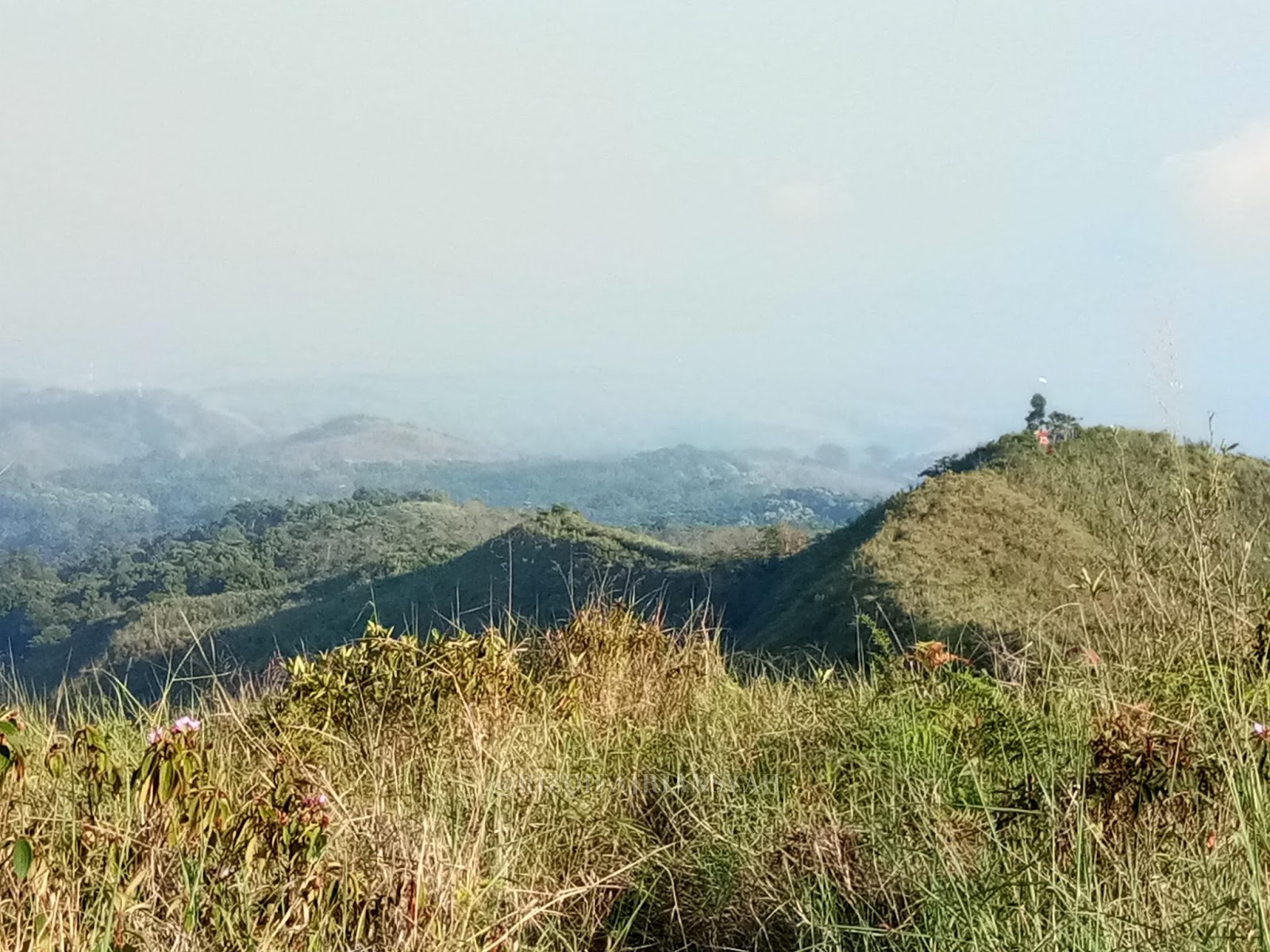 DESTINASI JAWA TIMUR: PUNCAK WATU JENGGER (GUNUNG JOKOMUJUNG)