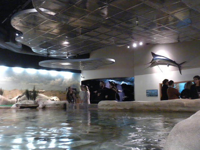 The Zoo Review: Zoo Review: Albuquerque BioPark Aquarium and Botanic Garden