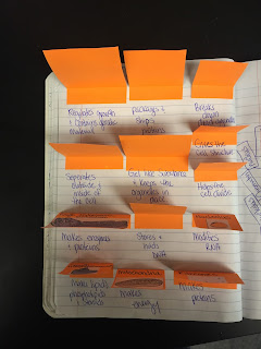 Teaching in Special Education