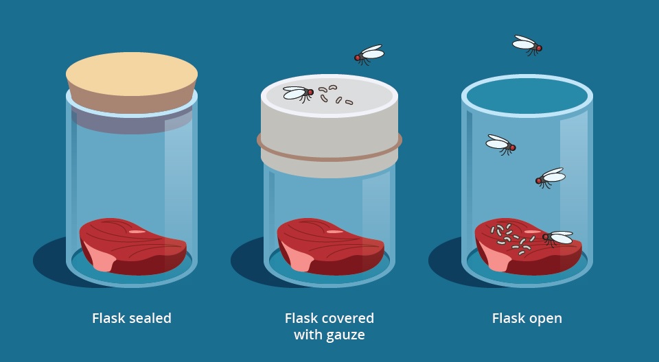BIOLOGI GONZAGA: GENERATIO SPONTANEA - BIOGENESIS