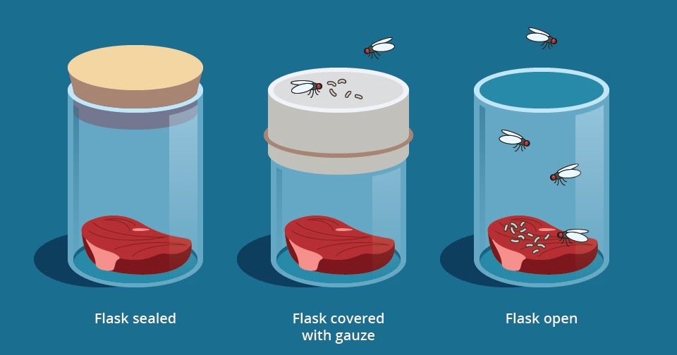 GENERATIO SPONTANEA - BIOGENESIS - Biology Page