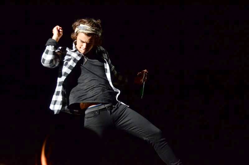 One Direction Girls ♥: Concierto en Lima, Perú.-Where We Are Tour (27 ...