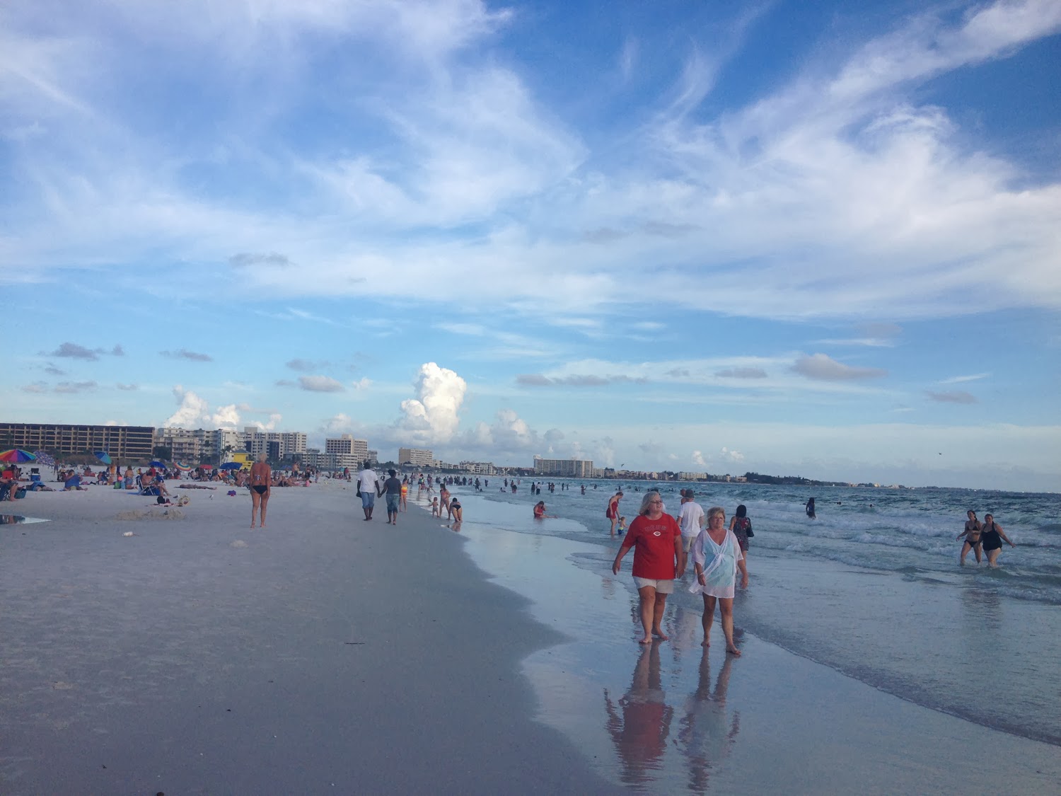 Wine and Spirits Travel: Sun Shines Through Lido Key & Mote Aquarium