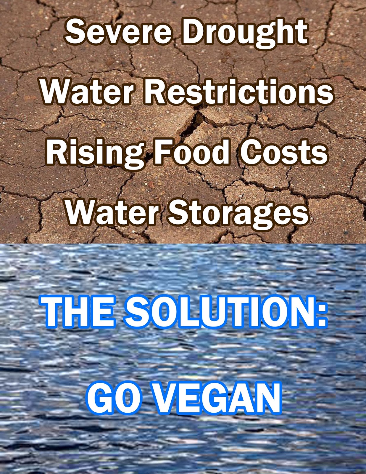 Joy of Vegan: ENVIRONMENTAL MEMES TO SHARE