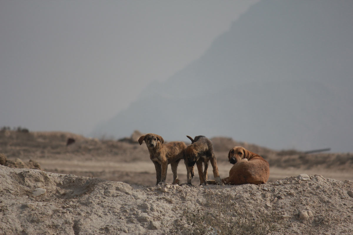 ...Enfilade and Defilade...: Camp Blackhorse