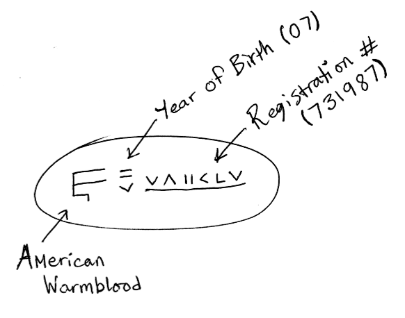 Equine Masterpiece: The Alpha Angle Branding System