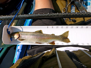 Headwaters Fishing Team: Spicer Meadows Night Paddling, Camping and Fishing