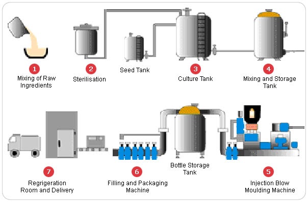 Y.A.K.U.L.T: THE PROCESS OF YAKULT