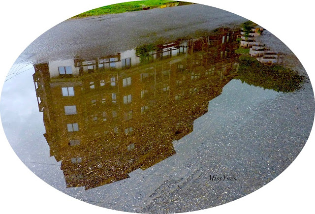 Photograff: Flic, flaque, floc