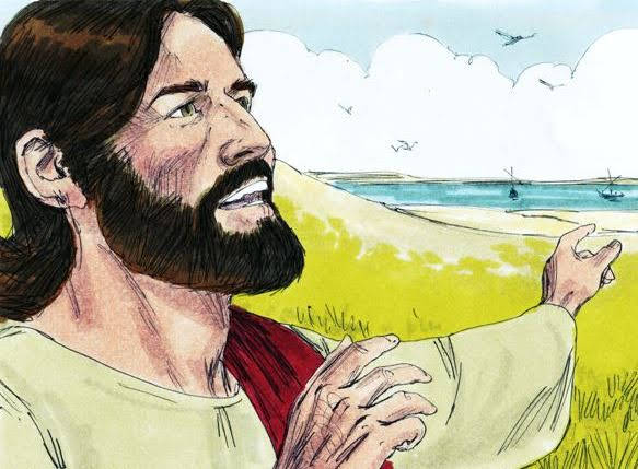 Bible Fun For Kids: The Great Catch of Fish