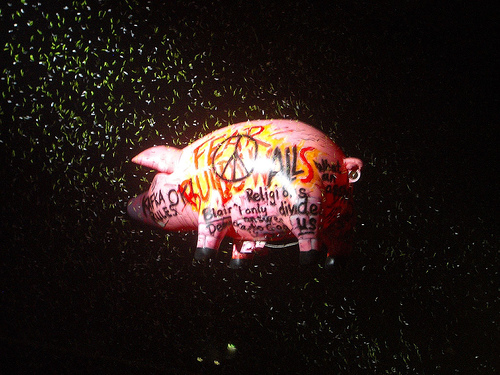 Juliet Shimmer: The story of Algie, the Pink Floyd pig