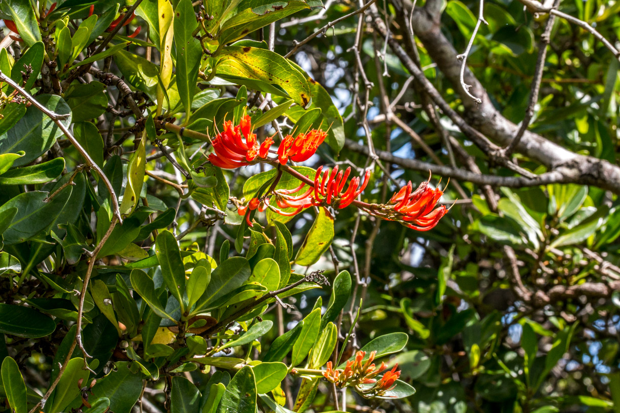 Pondoland C.R.E.W. Blog: Visiting a new corner of the Western Heights