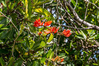 Pondoland C.R.E.W. Blog: Visiting a new corner of the Western Heights