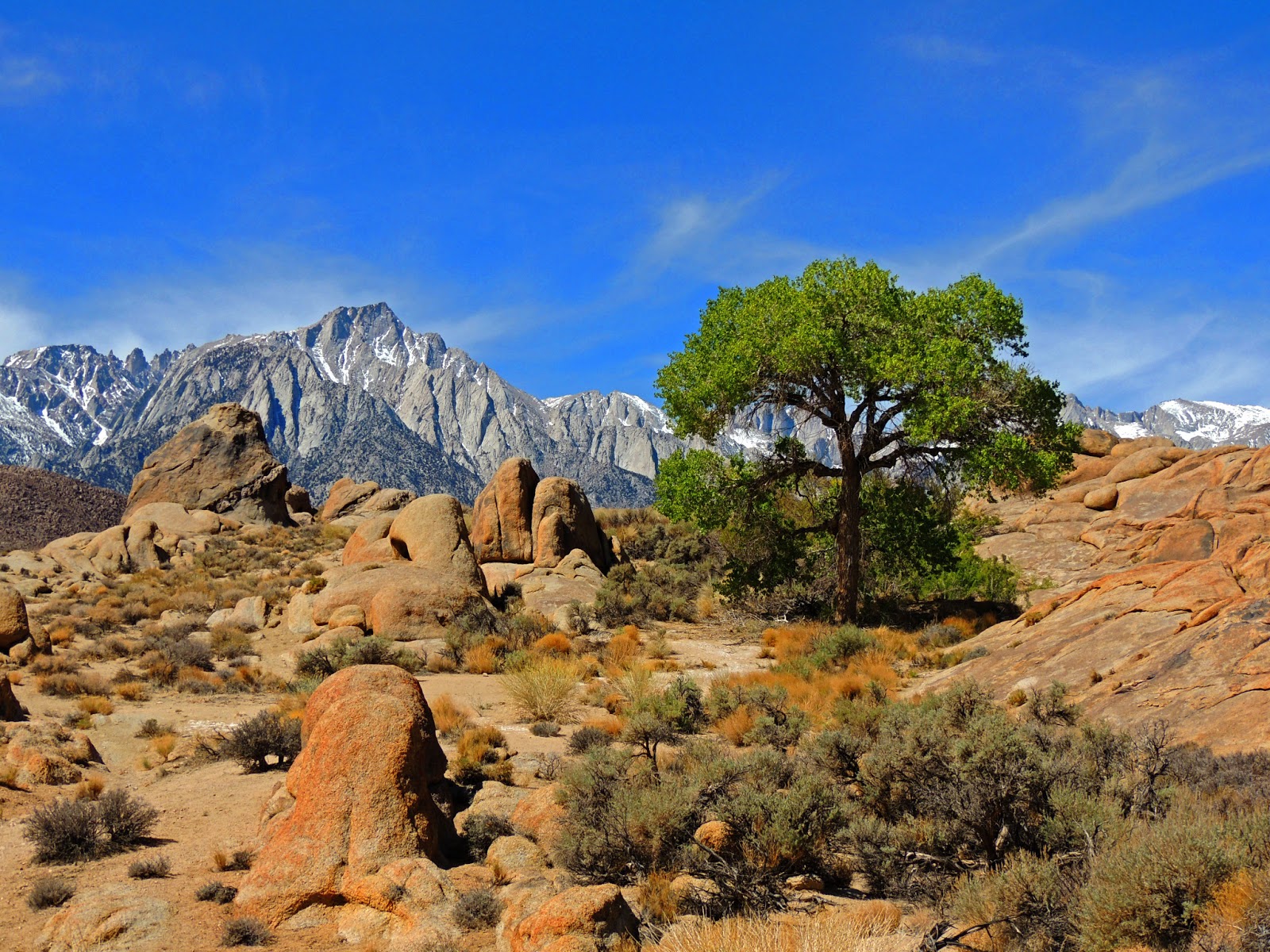 Which western state has the most beautiful scenery?