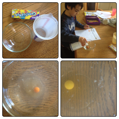 Scott School: Gobstopper Magic