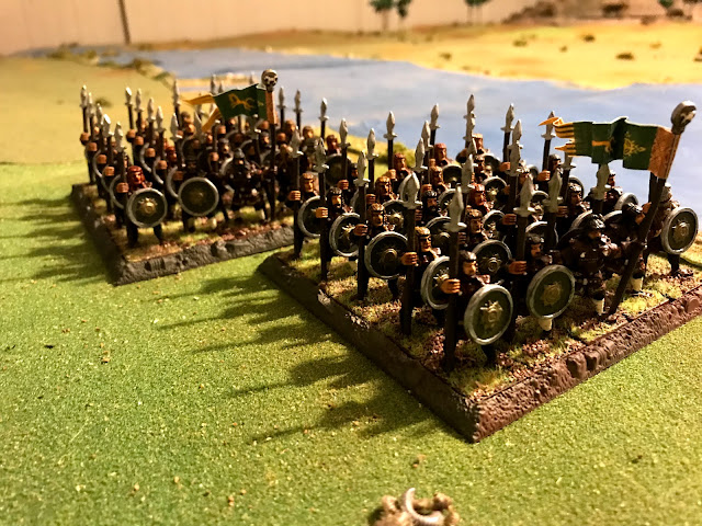 Tides of War: 28mm Rohan Army