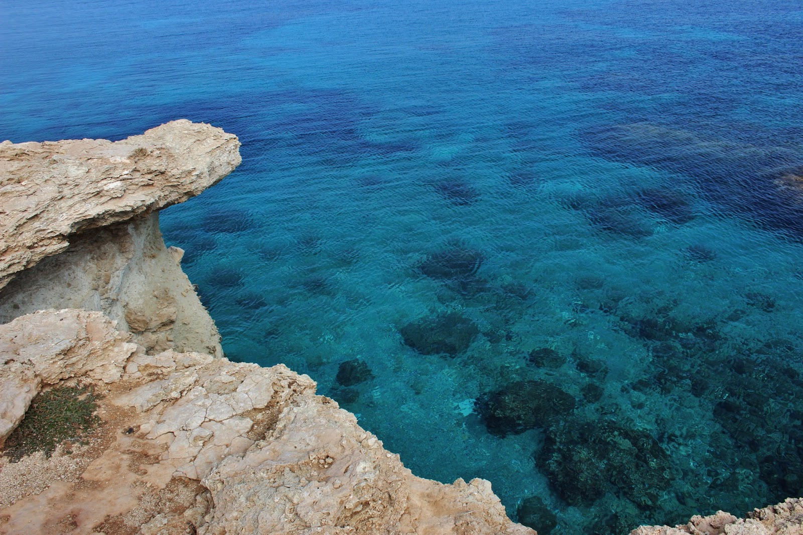 Biodiversity of Cyprus by NGO Protection of the Natural Heritage and ...