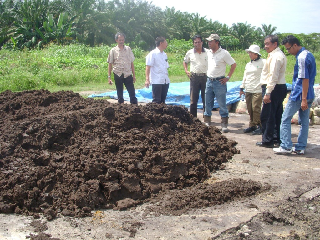 Produk Pabrik Minyak Kelapa Sawit (PMKS) ~ Industri Sawit