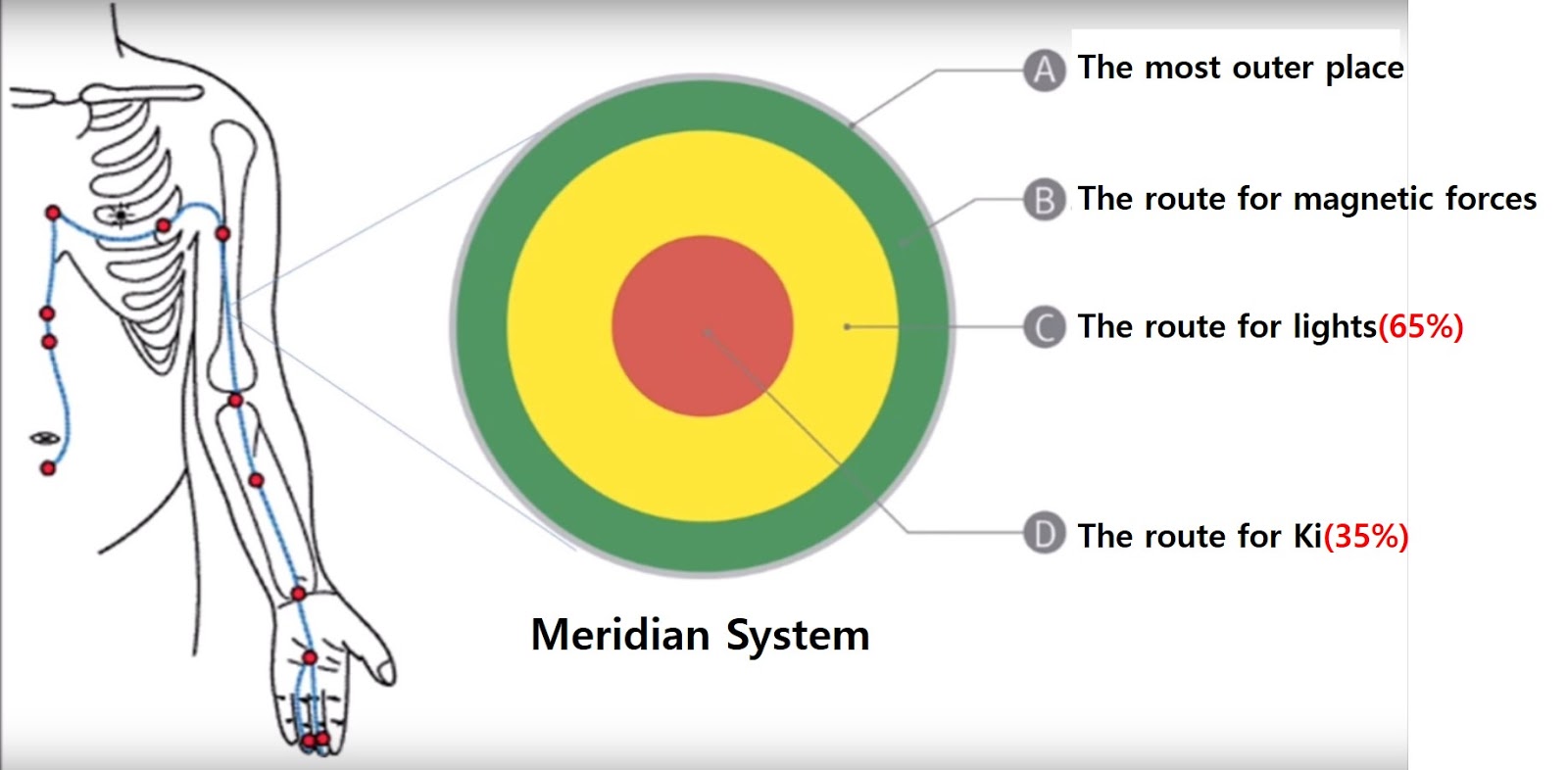 The cosmic principle of chakra healing through the meridian system