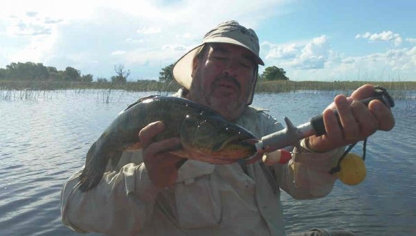 Taruchas con artificiales | Solo Pesca Deportiva