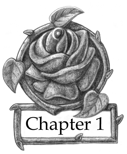 MG Children's Book Illustrations: Teen Chapter Book Cover Design: Five