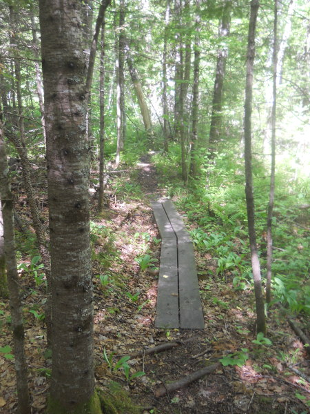 Another Long Walk: Day 6: Sucker Creek is for Suckers....