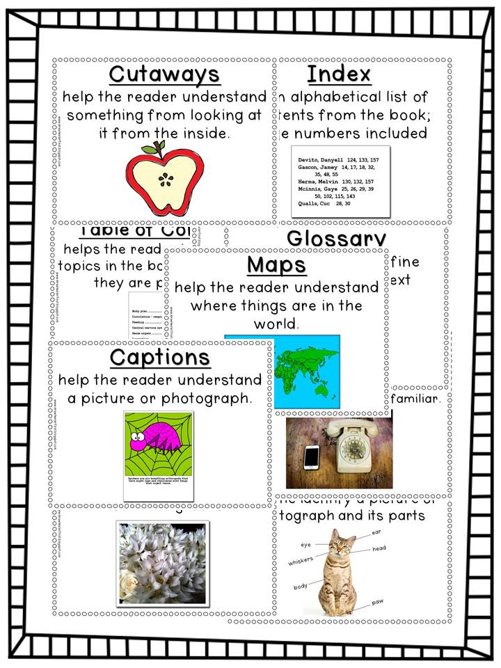 Mrs. Wheeler's First Grade Tidbits: Nonfiction Notebooks
