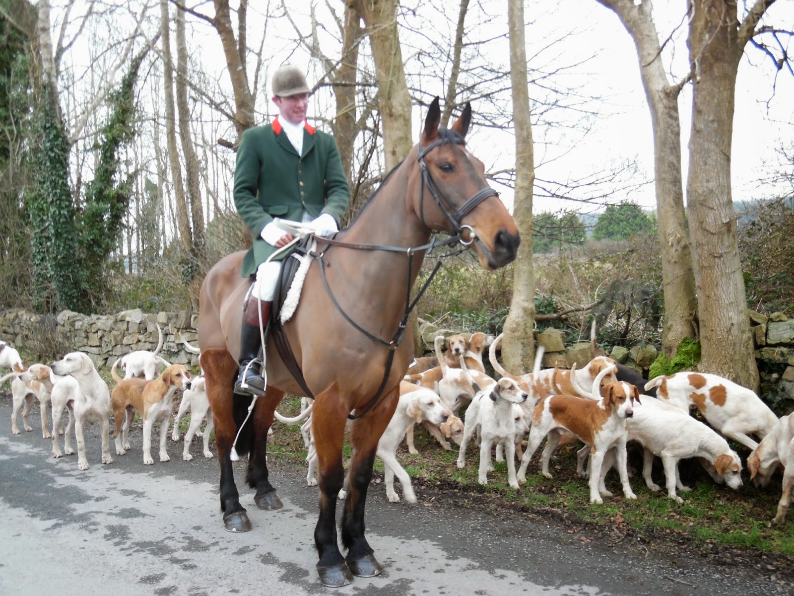 Dragon's Lair Farm - a horse farm: My latest Irish foxhunting trip.......