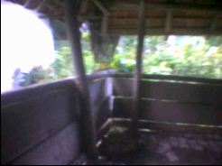 Tipologi Arsitektur Lobo - Kakarmand Palu