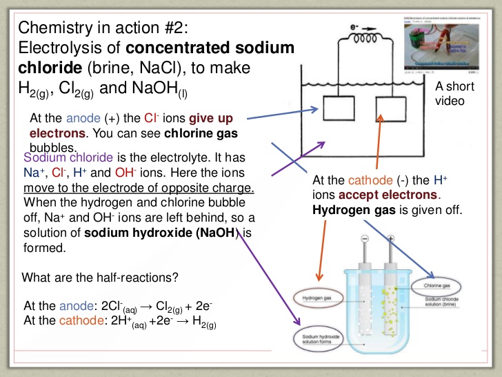 Electrolysis Of Salt Water Half Equations - Tessshebaylo