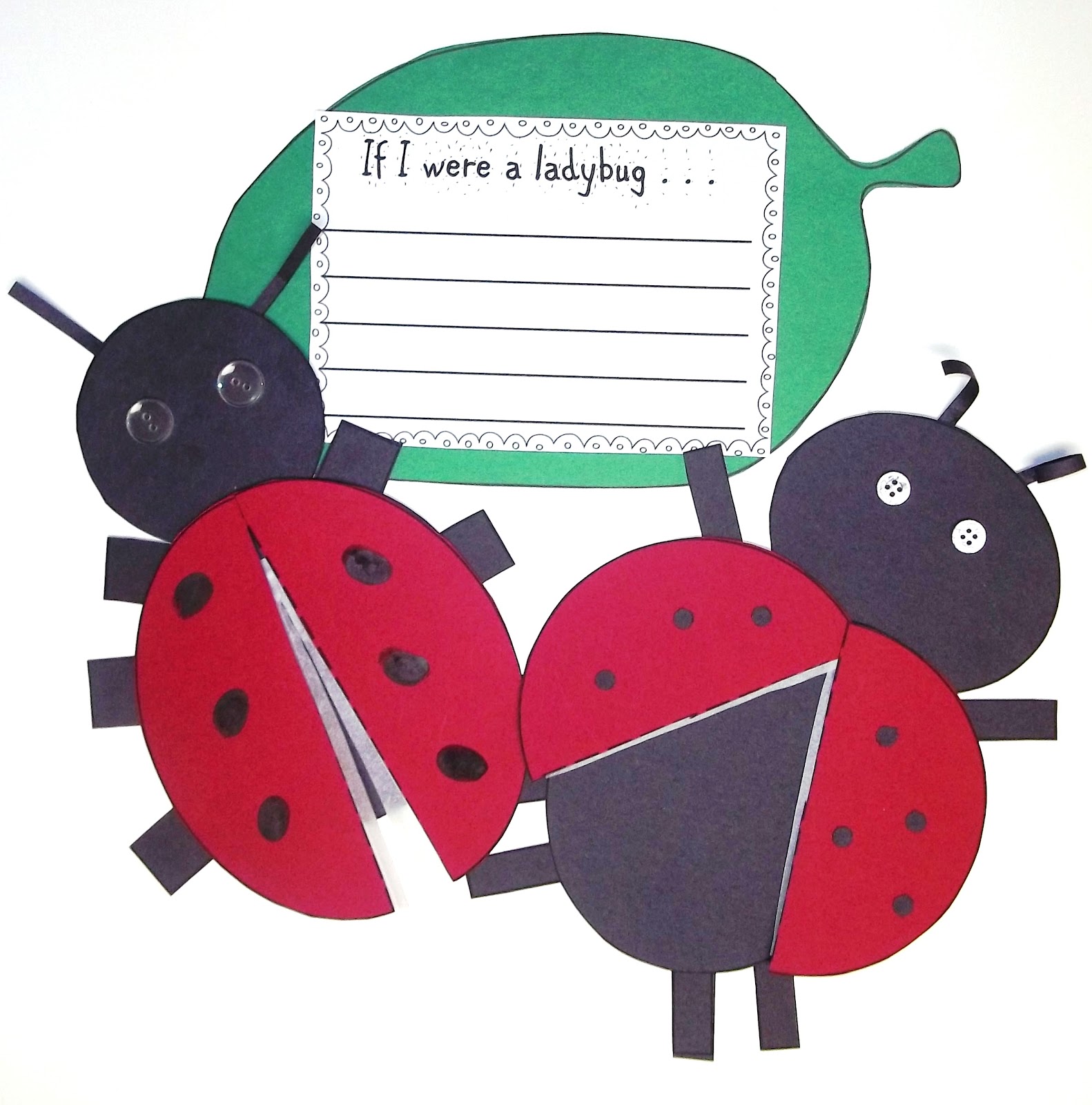Sweet Tea Classroom: Ladybugs in the Classroom