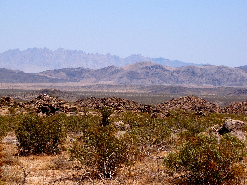 Geotripper: Water in a Dry Land: Joshua Tree National Park, and why ...