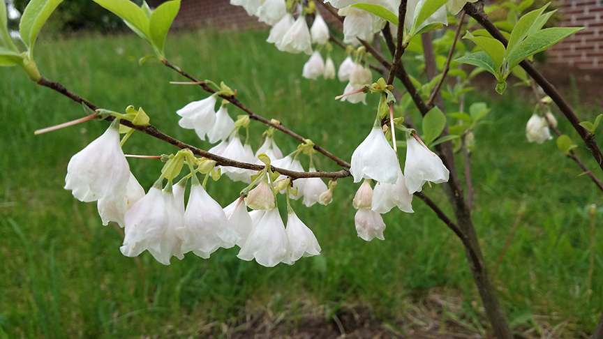 Maza Studio: May 2018