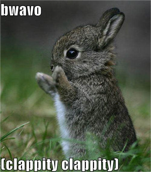 Photography: Funny Bunny - Bwavo [Clappity Clappity]