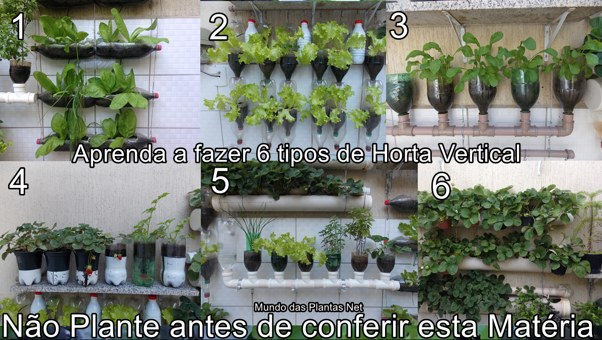 Mundo das Plantas : 6 Ideias para Você fazer uma Horta Vertical