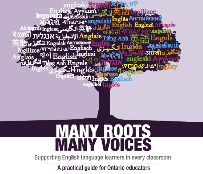 Curate your Experience with English Language Learners: Care