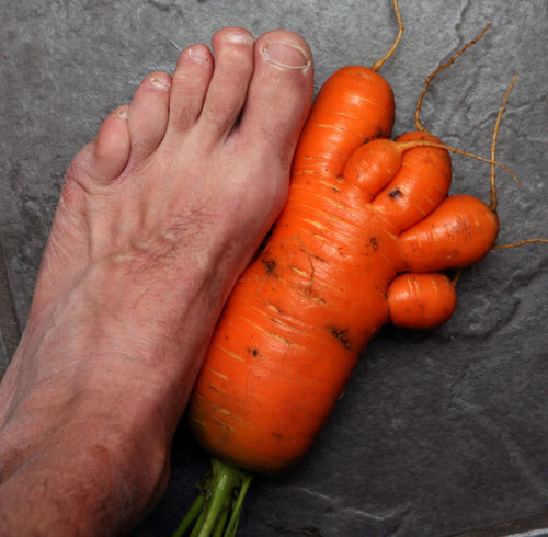 paradis express: Merci