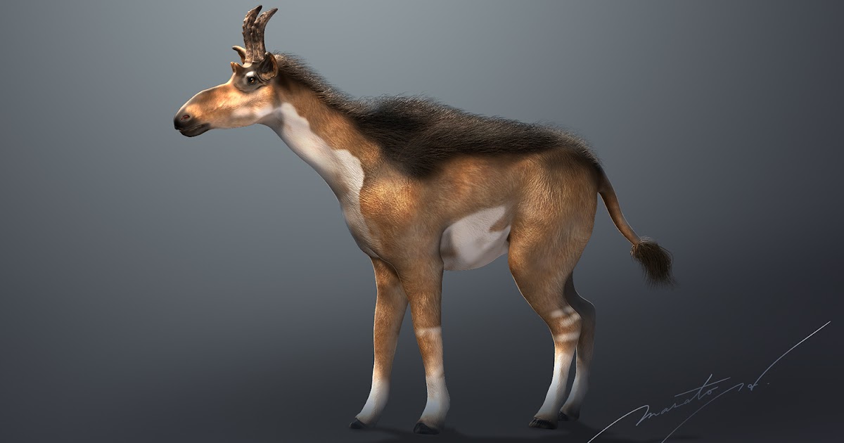 Marchan Blog: Decennatherium rex