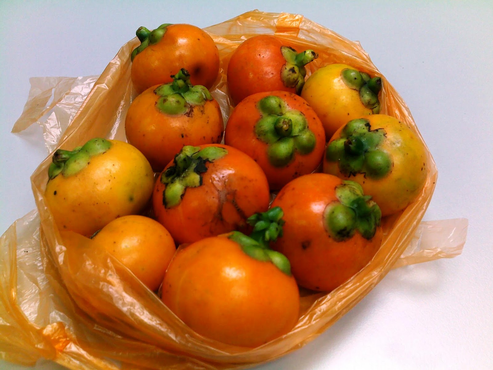 sham icam http://shamicam.blogspot.com: Buah Cepu yang masam