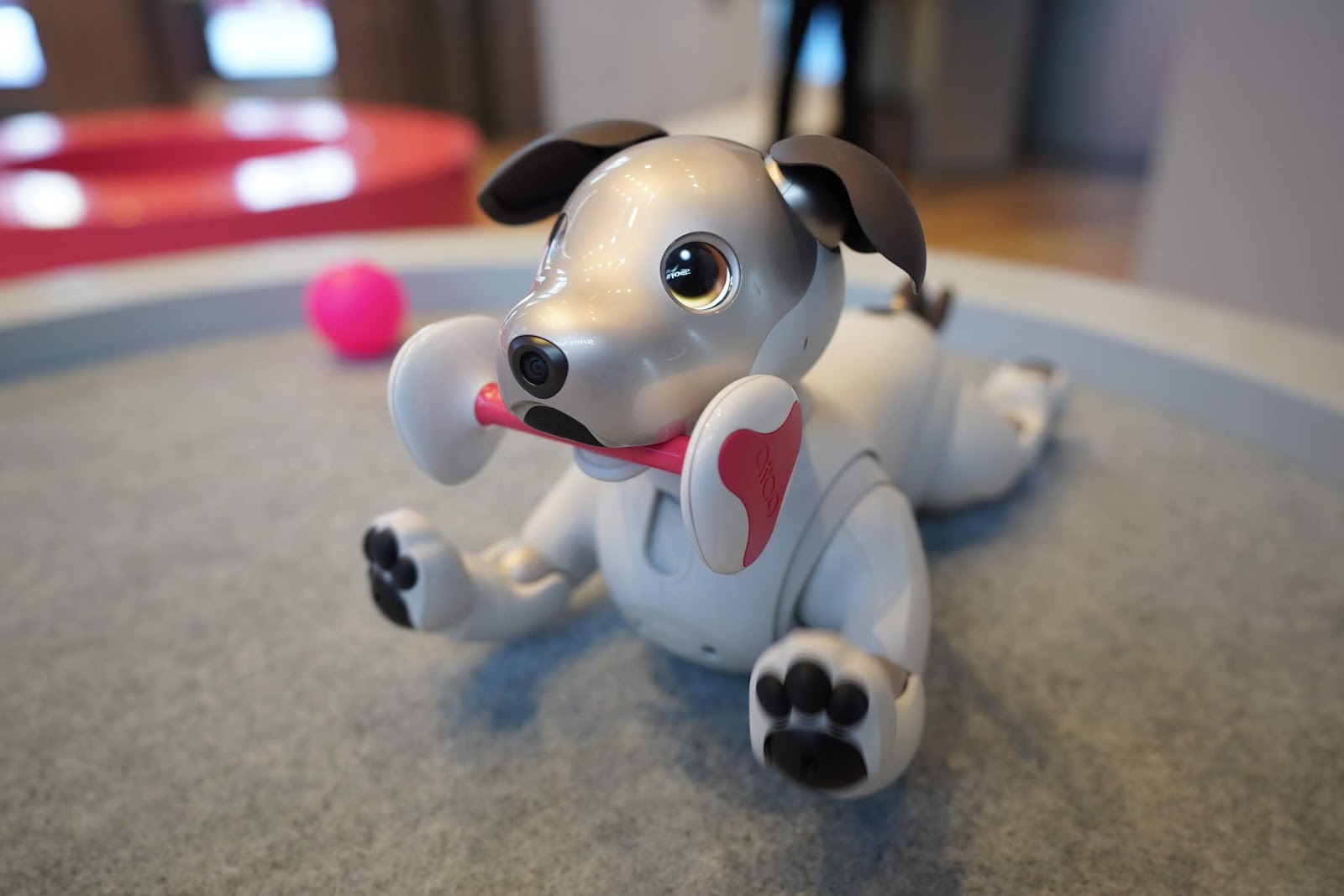 Help Sony Square NYC Name Its aibo Puppies! - Tech News 24h