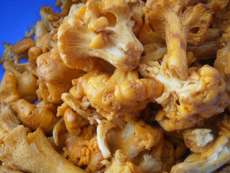 Myra's kitchen: Galbiori cu ou