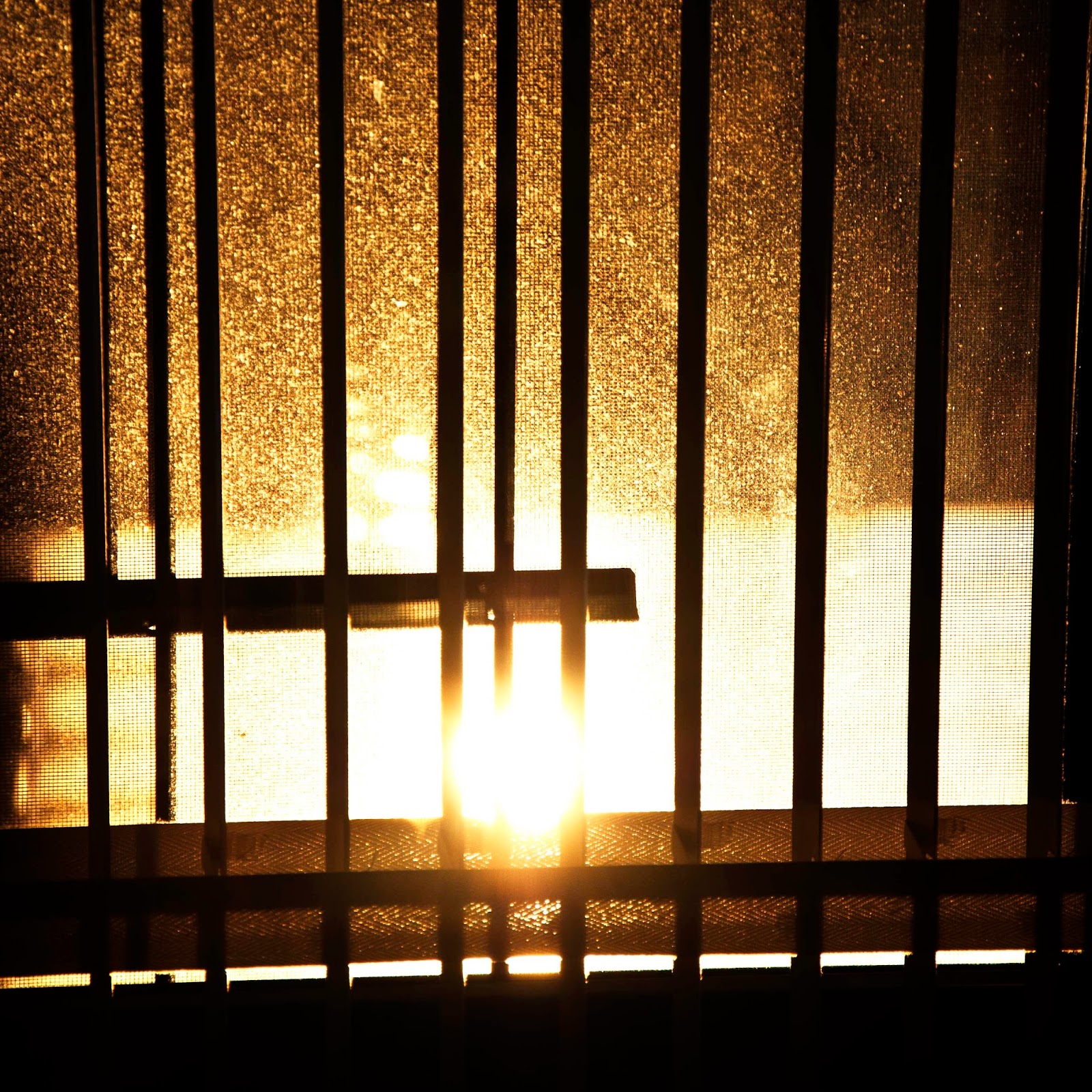 Poetry: For My People by Margaret Walker - Jane Through the Seasons by ...