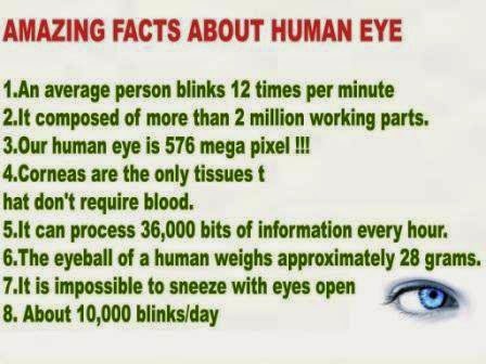 Top 14 Funny Facts about the Human Body | Funny Collection World