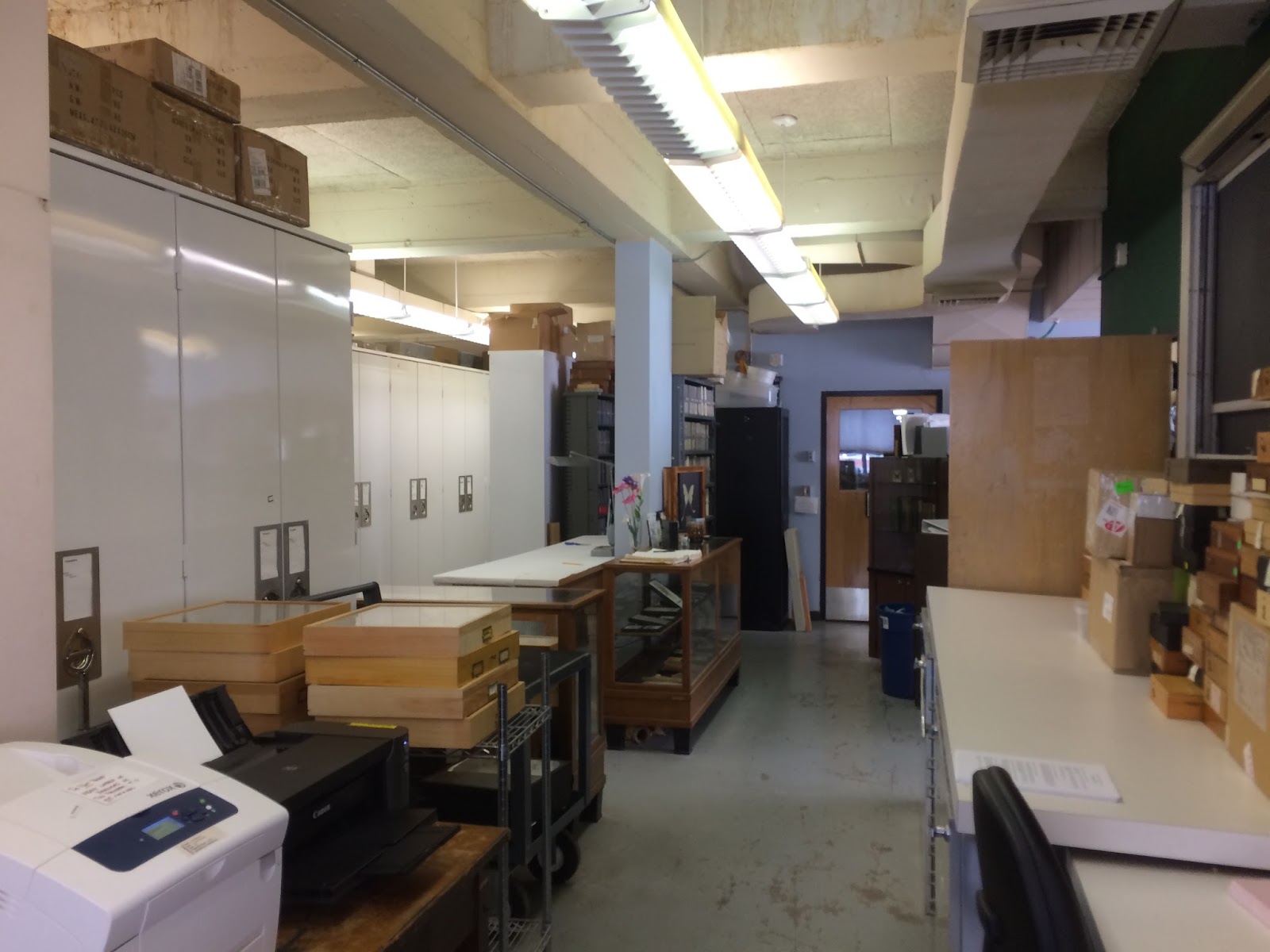 Northwest Butterflies: Butterfly Collections