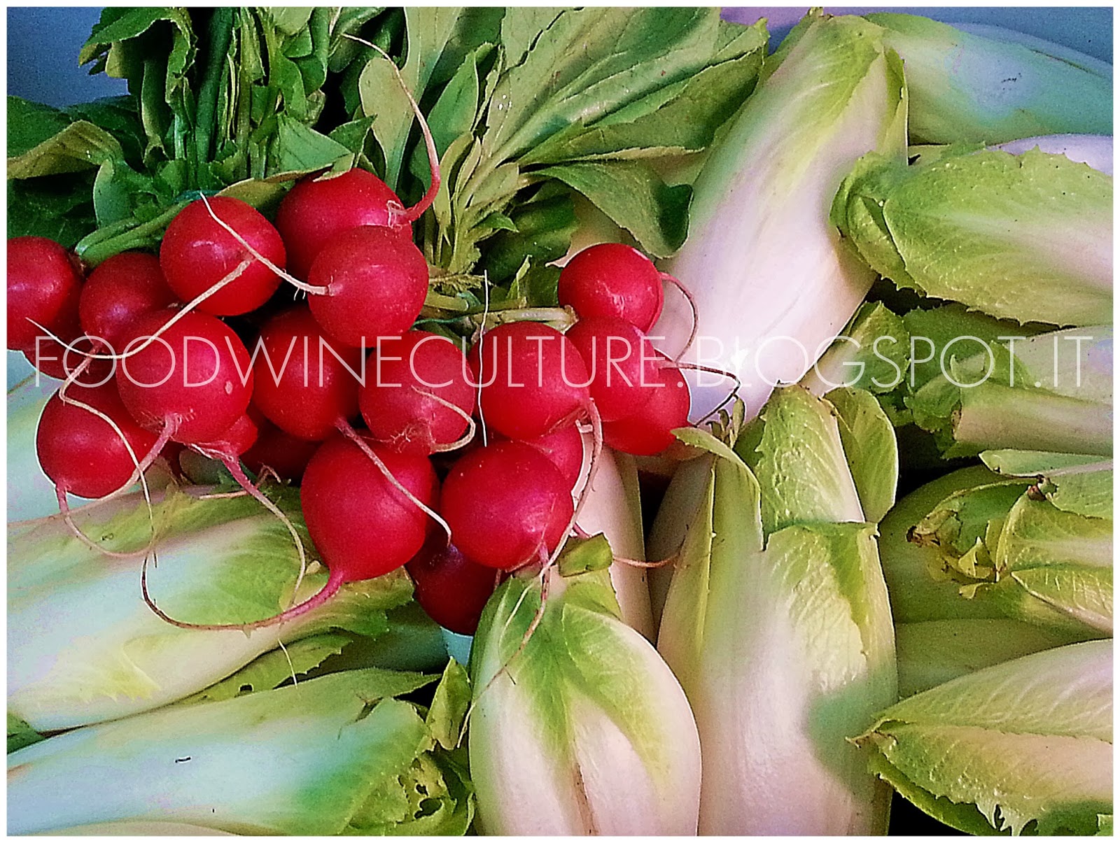 Food Wine & Culture: Ortofrutticola di Schenone - Rapallo