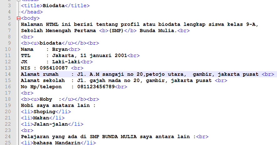 TIK SMP BUNDA MULIA: Pemrograman WEB