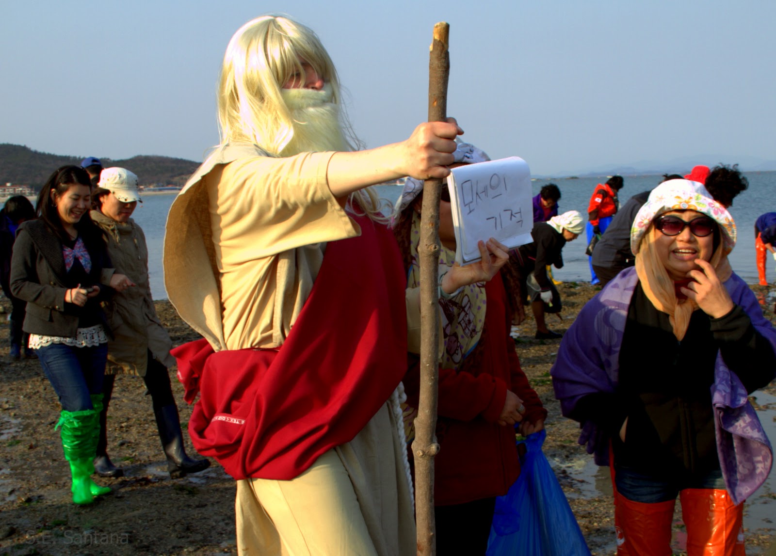 Sacred Ground Travel Magazine: Wandering Mystic Meditation From Jindo Korea